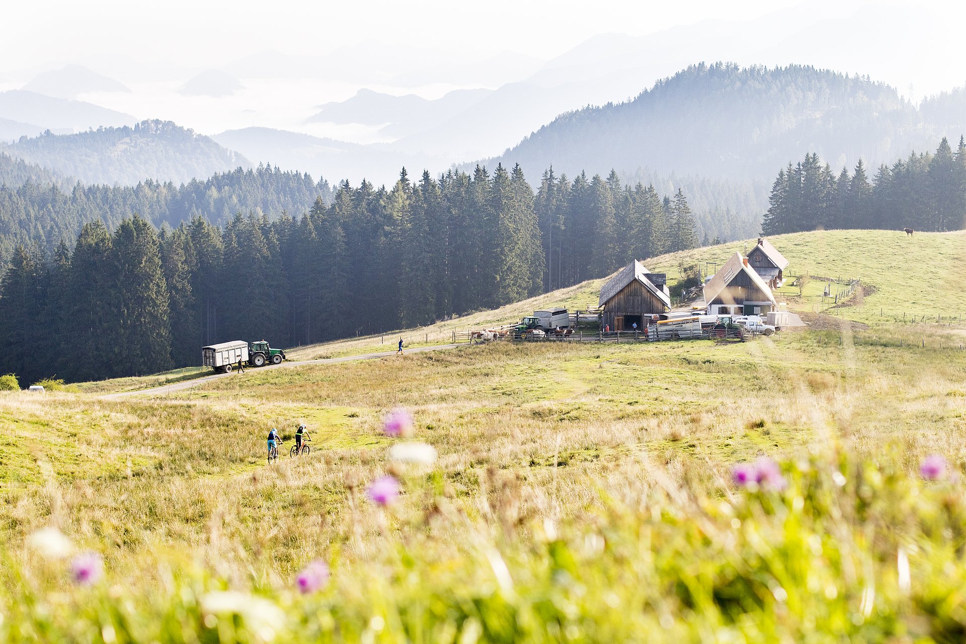 Almwirtschaft in Oberoesterreich